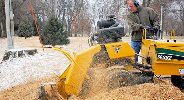 Stump Removal Services | Stump Grinding Iowa